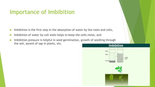 movement of substances | PPT