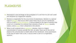 movement of substances | PPTX