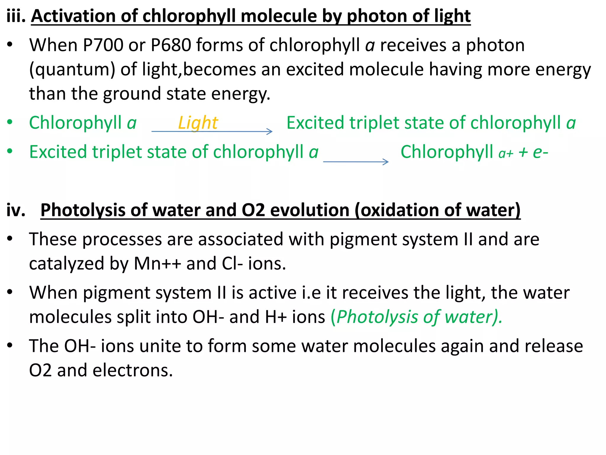 Photosynthesis and its importance in C3, C4 and CAM pathways | PPTX