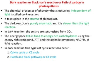 Photosynthesis and its importance in C3, C4 and CAM pathways | PPTX