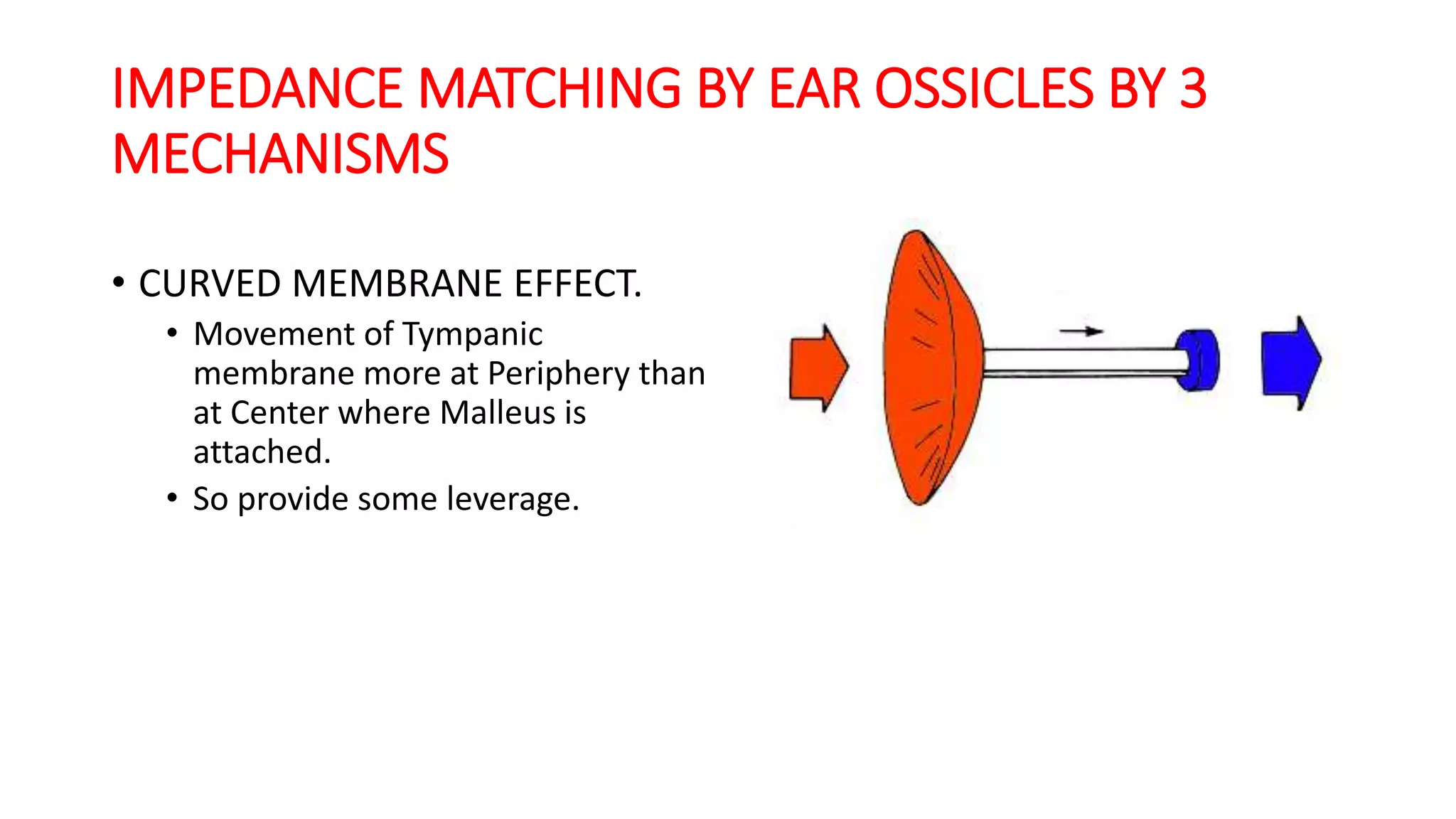 Physiology of Hearing | PPTX