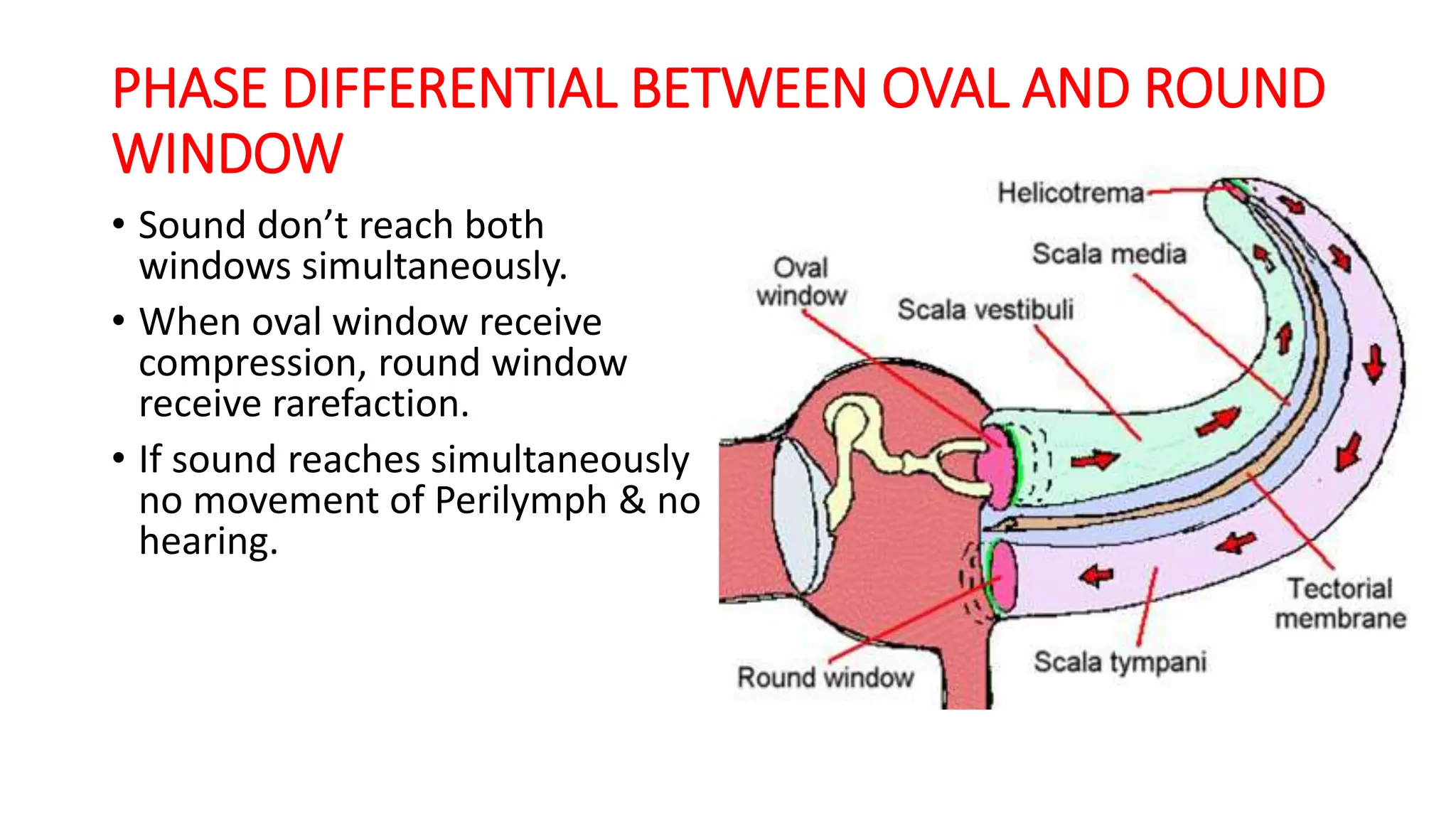 Physiology of Hearing | PPTX