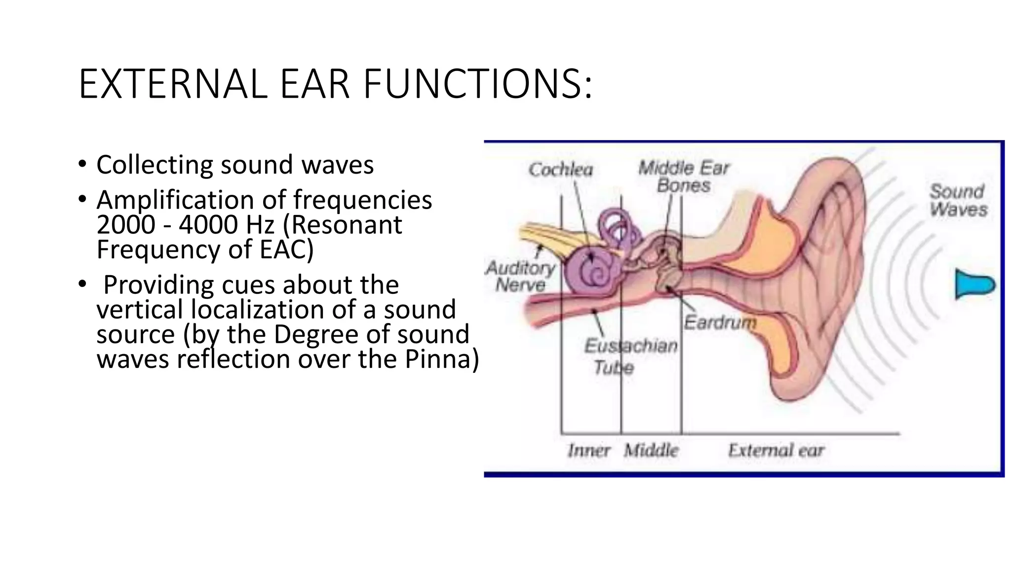 Physiology of Hearing | PPTX