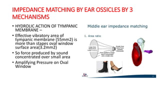 Physiology of Hearing | PPTX