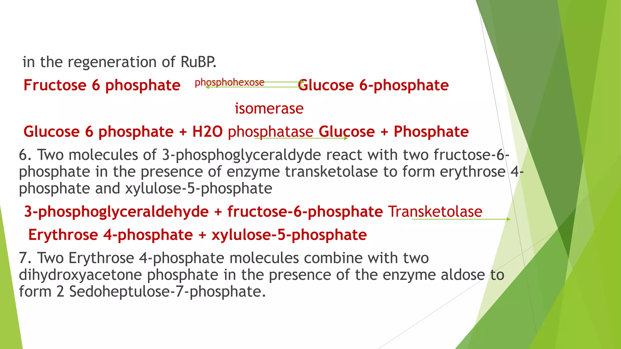 Photosynthetic Mechanism | PPTX