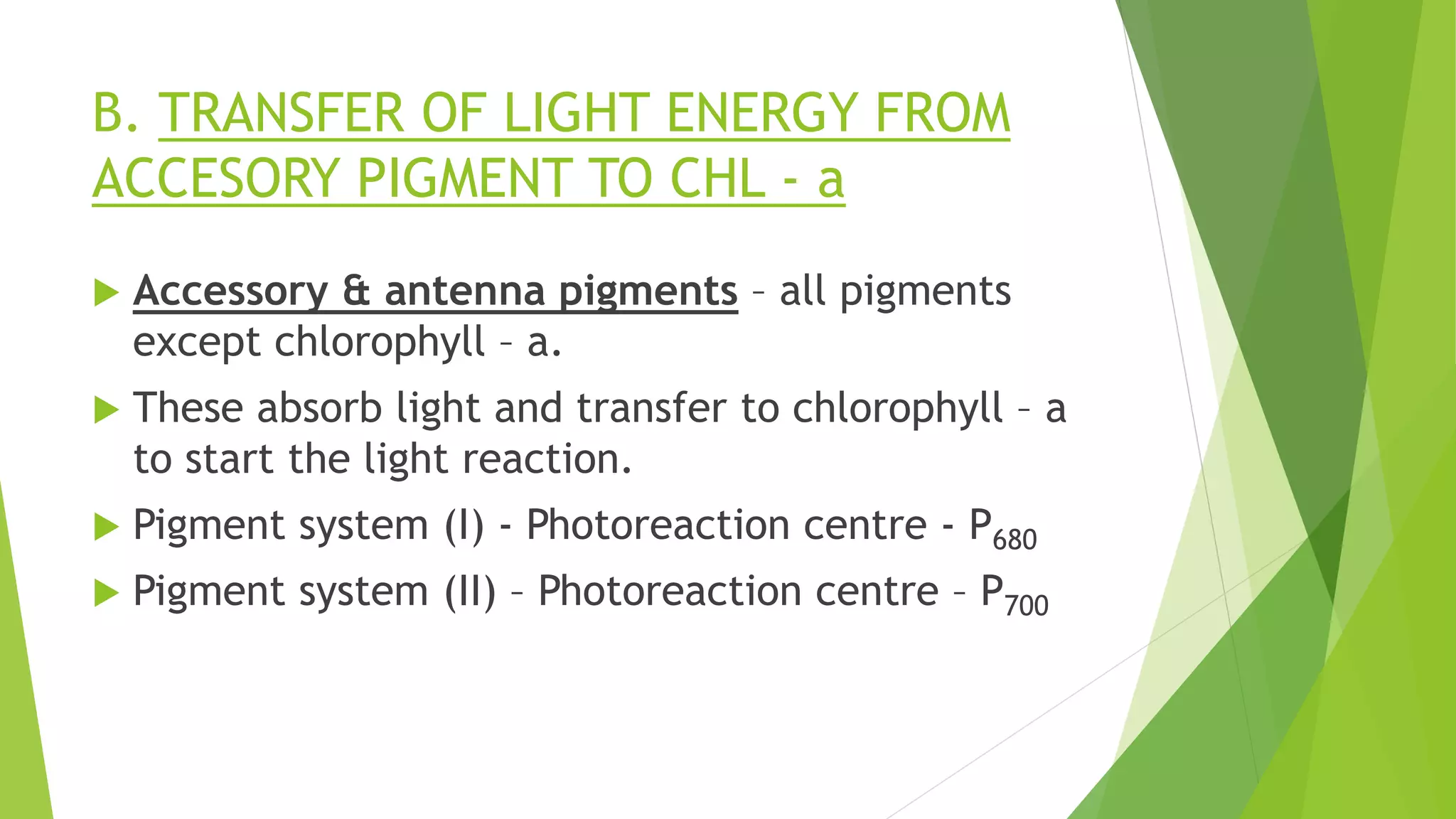 Photosynthetic Mechanism | PPTX