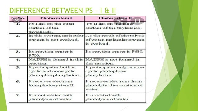 Photosynthetic Mechanism | PPTX | Chemistry | Science
