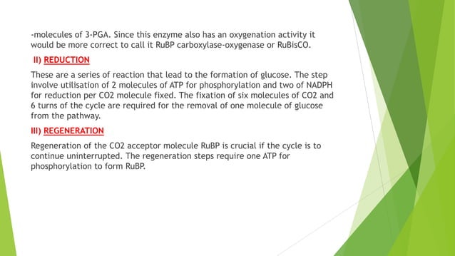 Photosynthetic Mechanism | PPTX | Chemistry | Science