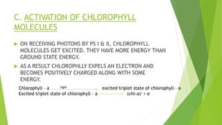 Photosynthesis Mechanism | PPTX