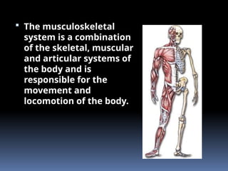 Physiology musculoskeletal system first semester bsc nursing.pptx