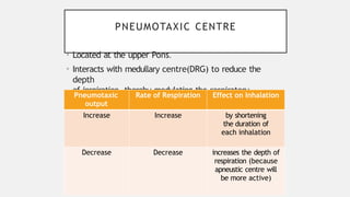 Physiology.of Respiration.pptx.......mdndnn | PPTX