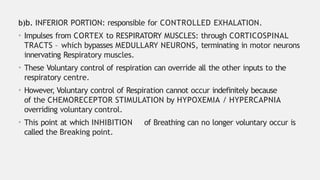 Physiology.of Respiration.pptx.......mdndnn | PPTX