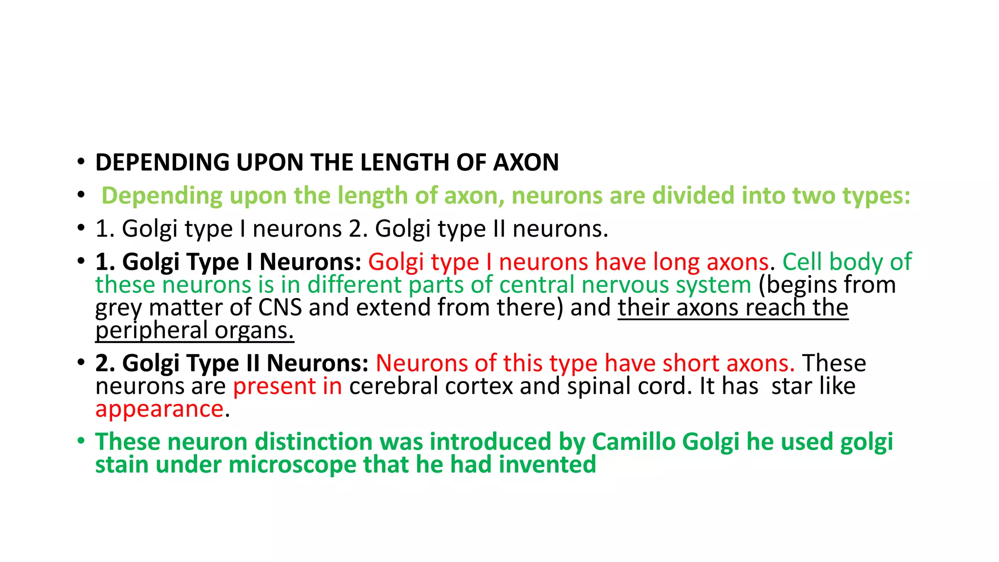 central nervous system | PPTX