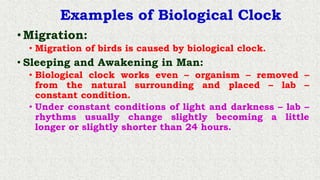 Physiology - Chronobiology.pptx | Biological Sciences | Science