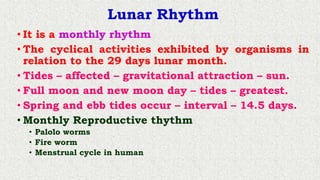 Physiology - Chronobiology.pptx | Biological Sciences | Science