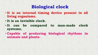 Physiology - Chronobiology.pptx | Biological Sciences | Science