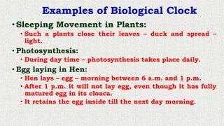 Physiology - Chronobiology.pptx | Biological Sciences | Science