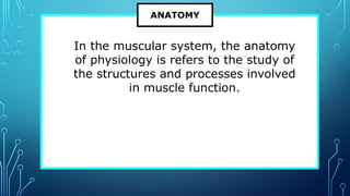 PHYSIOLOGY-IN-THE-MUSCULAR-SYSTEM-.pptx.pdf