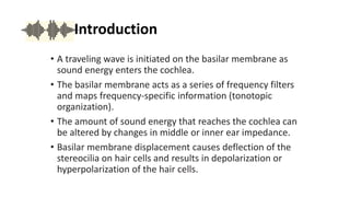 Physiology of Auditory System.pptx