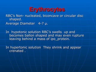 cvs Physiology-of-cardiovascular-System.ppt