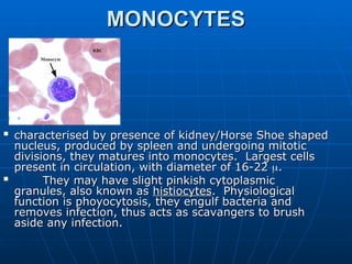 cvs Physiology-of-cardiovascular-System.ppt