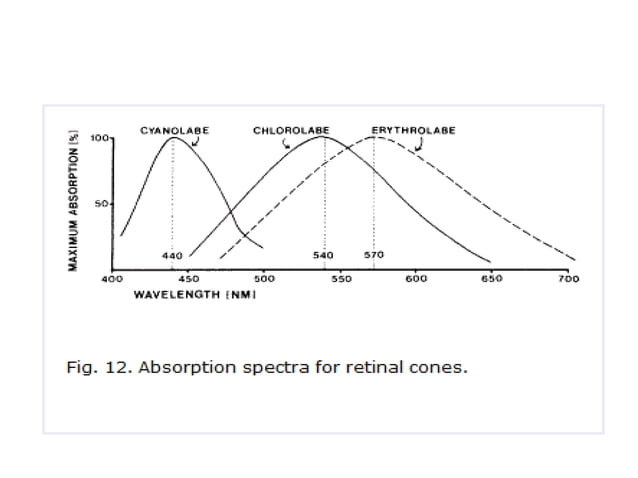 Physiology of colour vision | PPTX