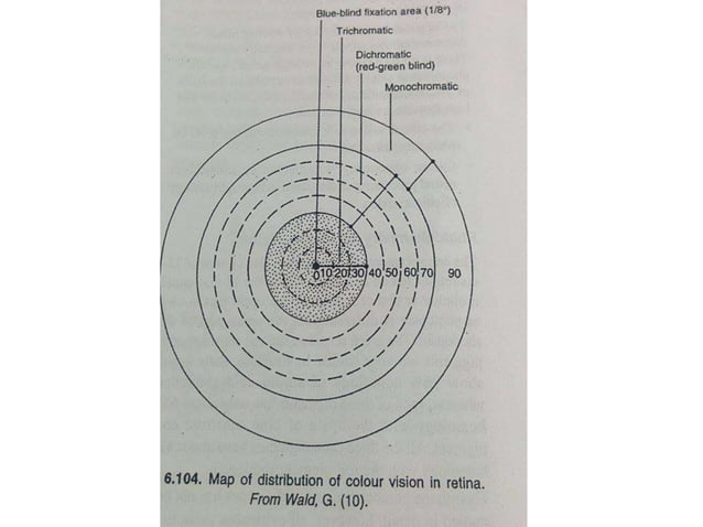 Physiology of colour vision | PPTX