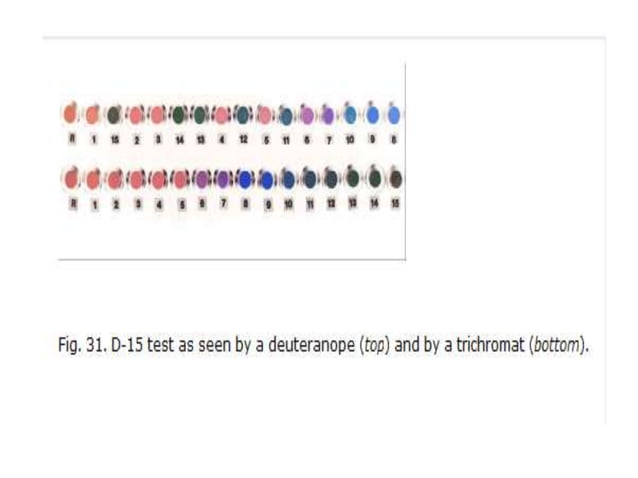 Physiology of colour vision | PPTX