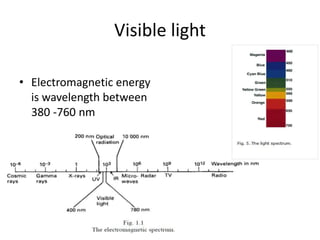 Physiology of colour vision | PPTX