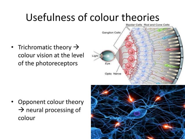 Physiology of colour vision | PPTX