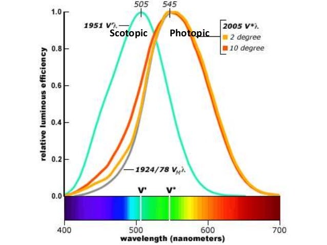 Physiology of colour vision