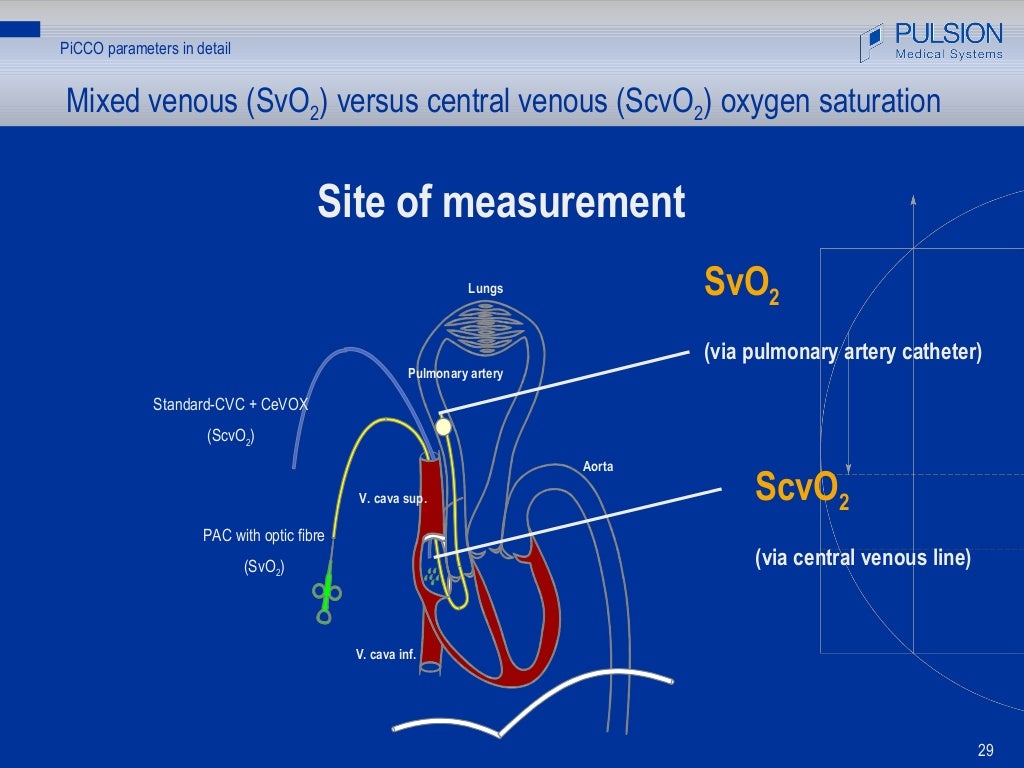 Physiology of hemodynamics & PiCCO parameters in detail