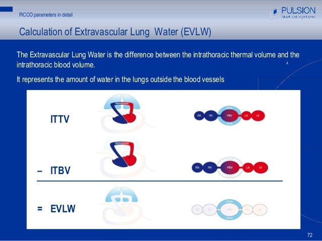 Physiology of hemodynamics & PiCCO parameters in detail