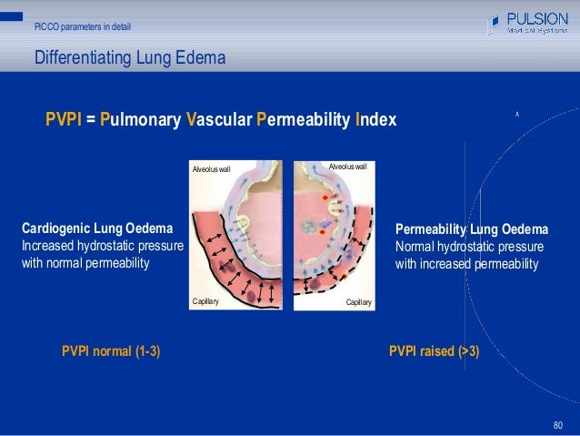 Physiology of hemodynamics & PiCCO parameters in detail
