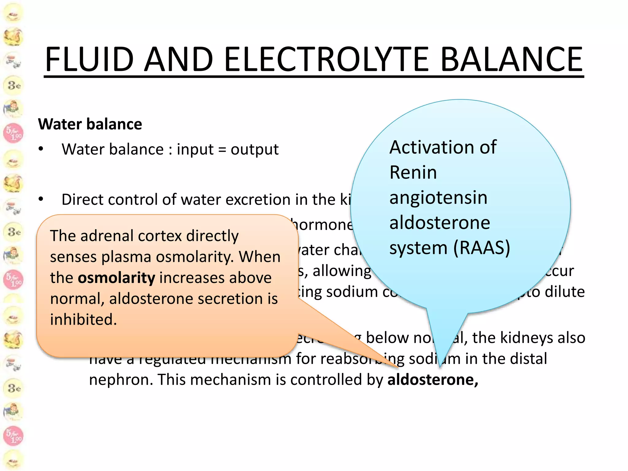 Physiology of kidney | PPTX