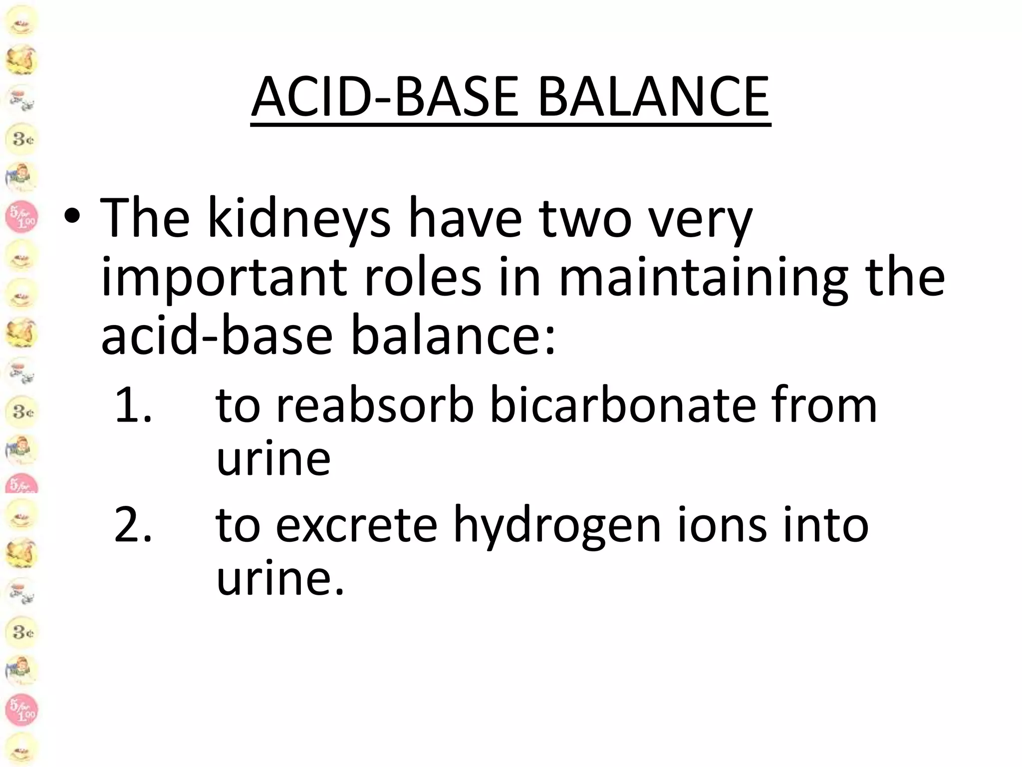 Physiology of kidney | PPTX