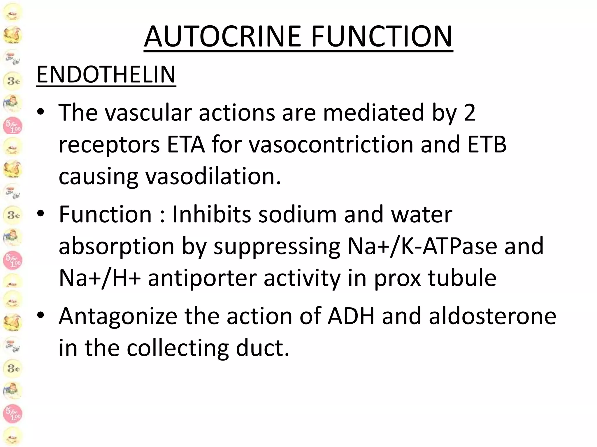 Physiology of kidney | PPTX