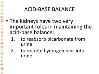Physiology of kidney | PPTX