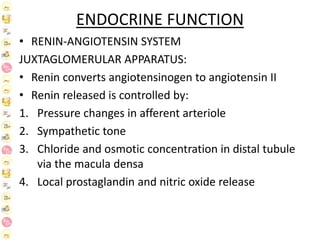 Physiology of kidney | PPTX