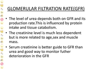 Physiology of kidney | PPTX