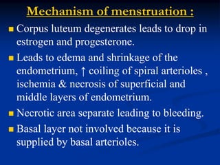 Physiology-of-Menstruation_3.pdf- lecture | PDF