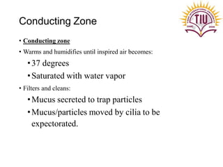 Physiology-of-Respiratory.pdf