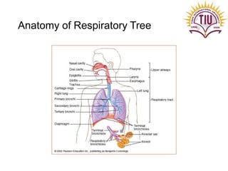 Physiology-of-Respiratory.pdf