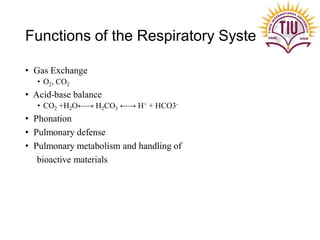 Physiology-of-Respiratory.pdf