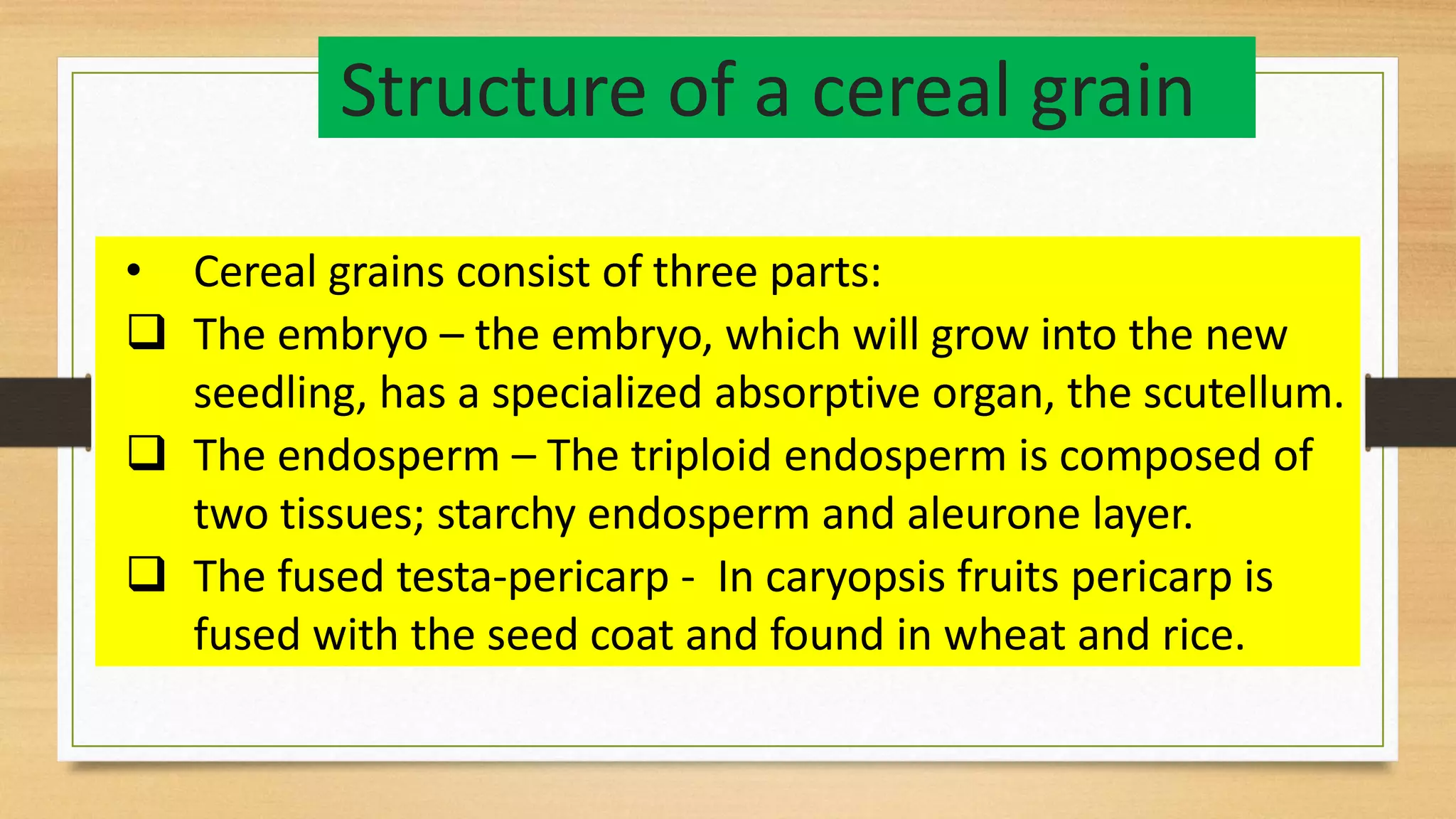 PHYSIOLOGY-OF-SEED-GERMINATION_REPORT.pptx