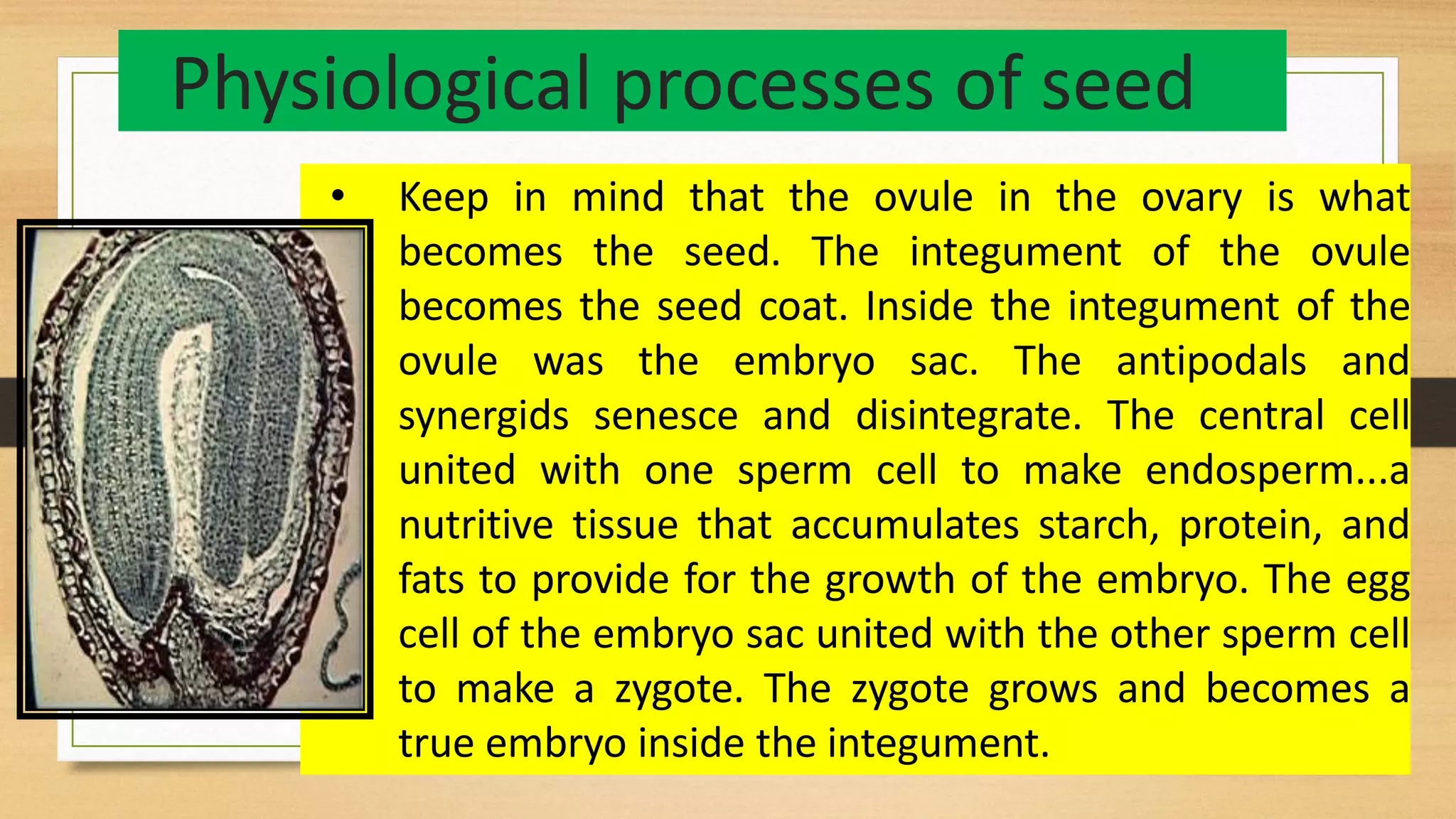 PHYSIOLOGY-OF-SEED-GERMINATION_REPORT.pptx