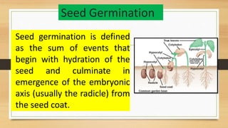 PHYSIOLOGY-OF-SEED-GERMINATION_REPORT.pptx
