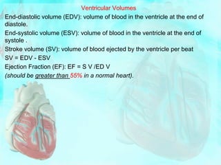 Physiology part 2 | PPTX
