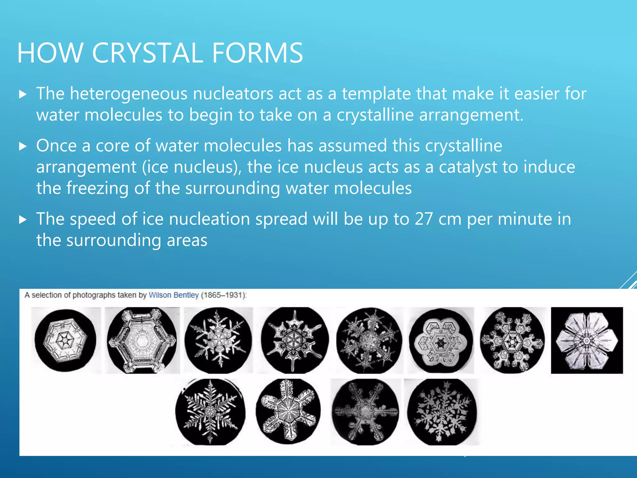 Phase transition - ice nucleation and super cooling in plants | PPTX