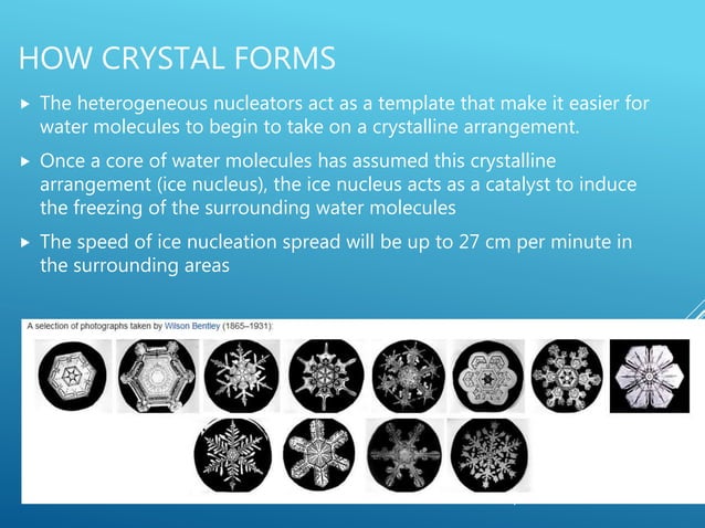 Phase transition - ice nucleation and super cooling in plants | PPT